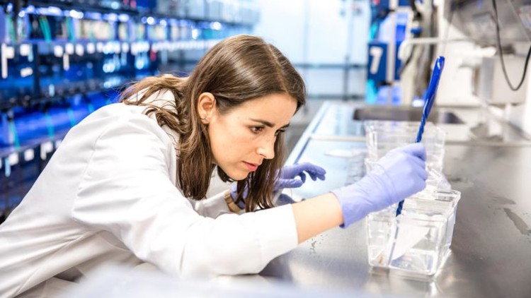 Regulatory Affair-Drug Development (INDA) Certificate Course - Free ...