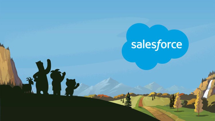 Salesforce Essentials – The Complete Bootcamp - Free Courses with ...