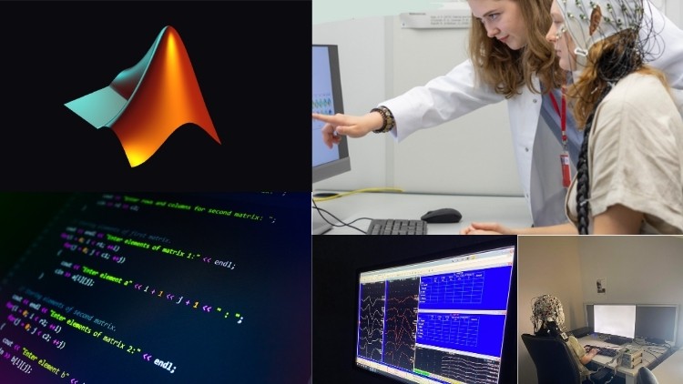 Beginner MATLAB Course for Neuroscience and Psychology - Free Courses ...