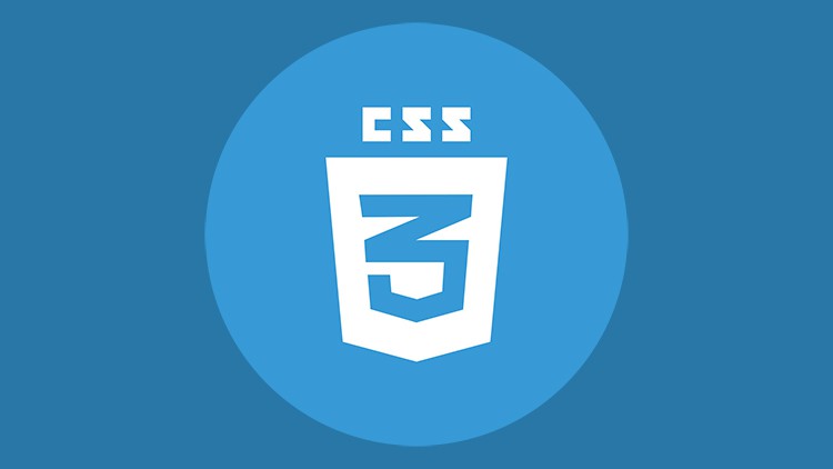 CSS Fundamentals: Comprehensive Training for Web Developers - Free ...