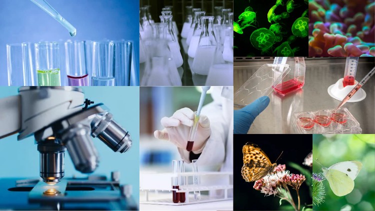 Biochemistry Masterclass - Free Courses with Certificates!