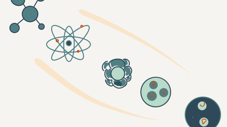First Principles Thinking - Free Courses with Certificates!